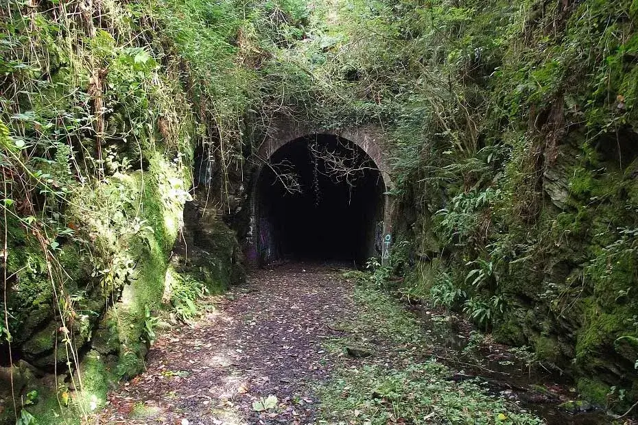 New Ross Greenway. Discover the South East Greenway. A Guide